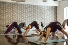 Class Spotlight: Yoga Flow - Yoga Class In Twin Cities