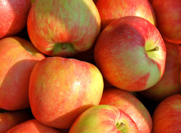Minnesota Signature Food Health Facts | YMCA of the North